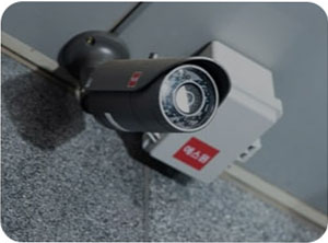 텔몬 - 대한민국 기업의 안전한 미래성장 파트너